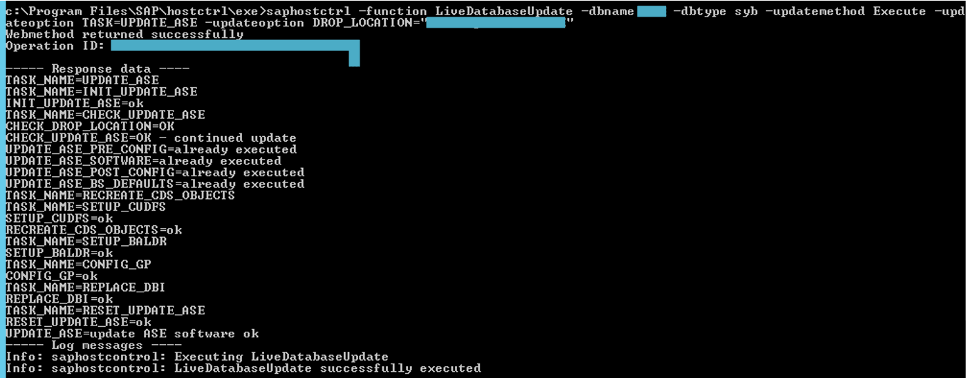 Patching Sap Ase Sybase Database