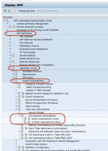 How to maintain OB52 authorizations? - SAPissues.com